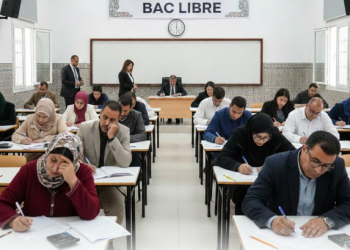 Bac Libre - Pro Français